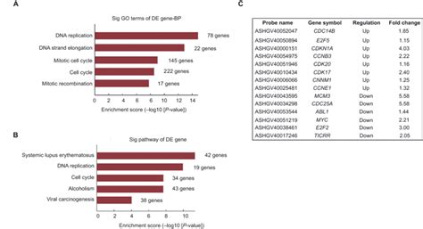 Gene Expression Microarray Analysis For The Identification Of Download Scientific Diagram