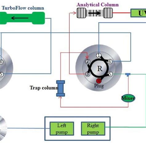 Schematic Of Automated On Line Spe Lc Uv With On Line Dilution To