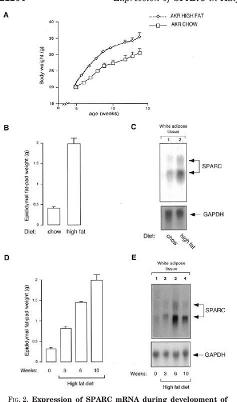 [pdf] The Matricellular Protein Sparc Osteonectin As A Newly Identified Factor Up Regulated In