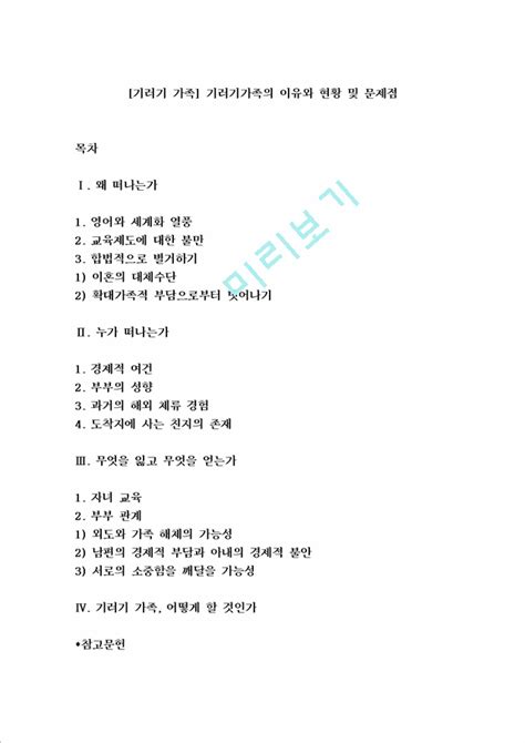 [기러기 가족] 기러기가족의 이유와 현황 및 문제점인문사회레포트