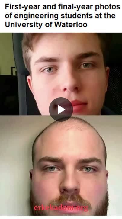 Technology Robotics Cobot Automation Mechatronics Science Cto Robotics