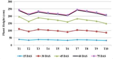 Effect Of Graded Levels And Split Application Of Nitrogen On Plant Download Scientific Diagram