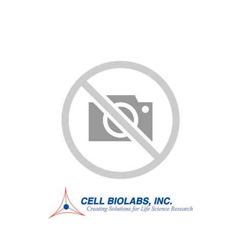 Tr Hoş Geldiniz Welcome To Our Website