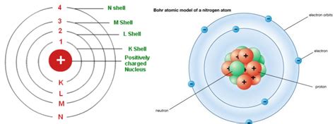 Bohr Model Of Atom Diagram