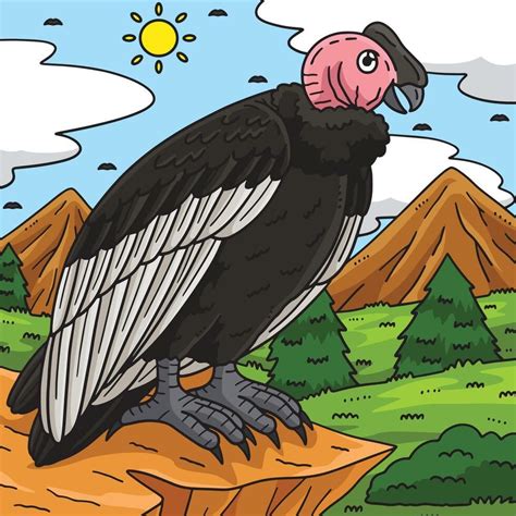 Condor Andino Dibujo
