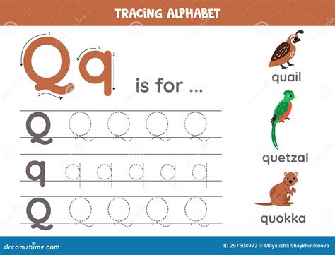 Writing Uppercase And Lowercase Letter Q Printable Worksheet Cute Illustration Of Quail
