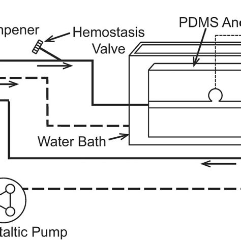 In Vitro Flow System Schematic The Solid Line Indicates The Simulated