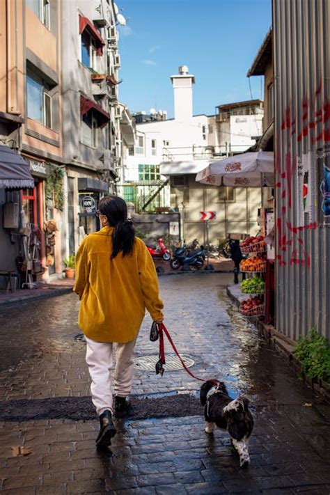 활기찬 도시 거리에서 개를 산책시키는 여성 · 무료 스톡 사진