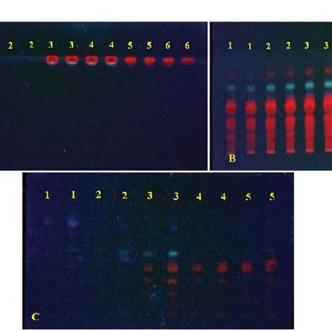Hptlc Chromatograms Of Column Fractions A Hexane B Ethyl Acetate Download Scientific
