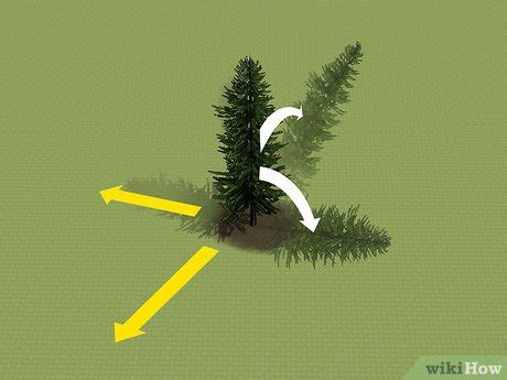 Ways To Remove A Tree WikiHow