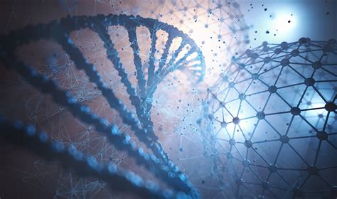 Can We Improve The Purification Of Synthetic DNA And RNA Sequences