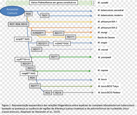 Web Page Screenshot Computer Program Design Angle Text Png Pngegg