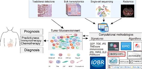 Figure 1 From Tumor Microenvironment Evaluation For Gastrointestinal Cancer In The Era Of