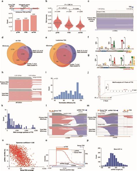 Characterization Of Mtb Tsss Ttss And Asrnas Detected By Send Seq A Download Scientific