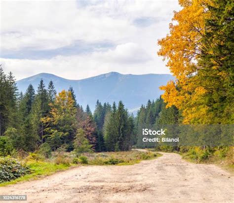 화려한 숲과 산이을 풍경입니다 카 르 파 티아 산맥에서 화려한가 풍경입니다 낙 엽 숲 언덕에 보도에서 농촌 보기입니다 0명에