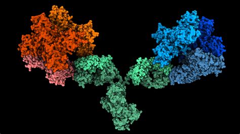 understanding 3d virus structure guides broad spectrum antiviral