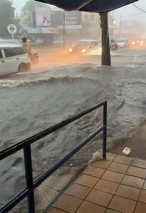 Thomasina James Aprn