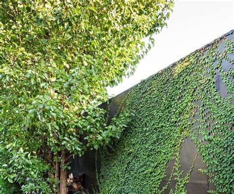 13 Compact Landscape Design Ideas Landscape Design Front Garden