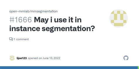 May I Use It In Instance Segmentation · Issue 1666 · Open Mmlab