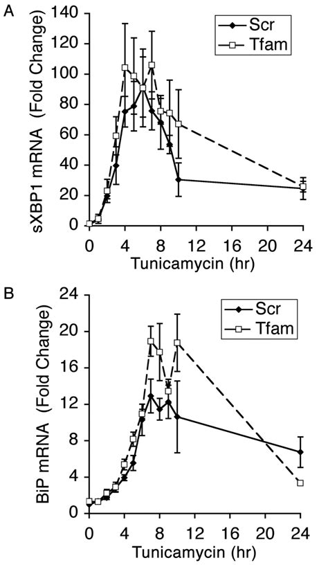 7 Tfam Depletion Does Not Inhibit Induction Of Upr Download