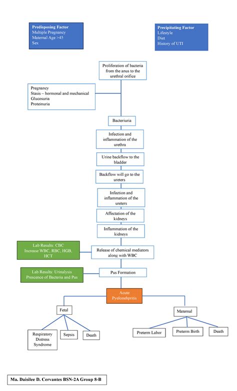 Pathophysiology Predisposing Factor Multiple Pregnancy Maternal Age
