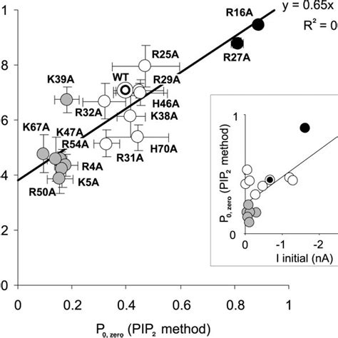 Representative Currents Recorded From Inside Out Membrane Patches