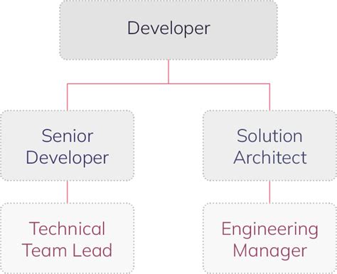 Netsuite Developer Career Spotlight Anderson Frank Careers And Hiring Guide