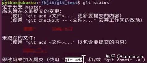 常用编程工具 Git使用教程 知乎