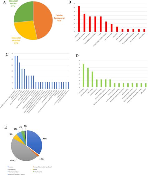 Functional Annotation Of Viral Proteins Potentially Prenylated By Download Scientific Diagram
