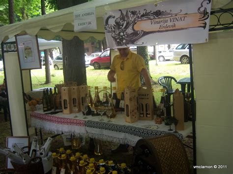 Erdevik Visual Diary Erdevik Sremska Kulenijada