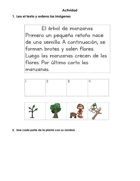 Las Plantas 0845 Alexagaviria Live Worksheets