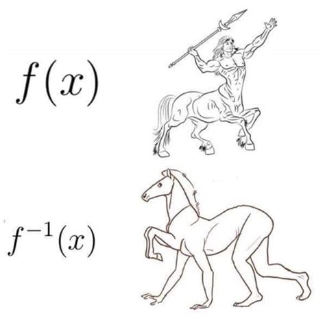 Now Thats What I Call An Inverse Function Rmeme