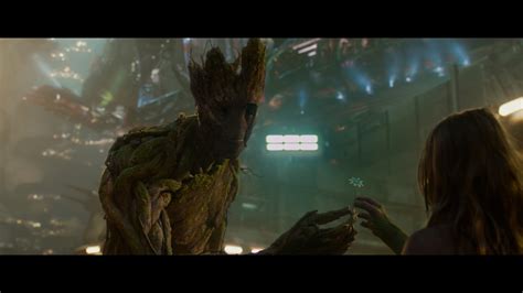 Gotg Big Groot Fbtb