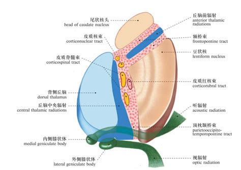 全屏显示 专题 章节