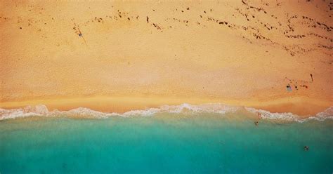 Ai Method Refines Biome Labeling For Microbial Community Samples The