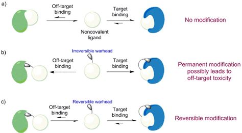 Covalent Regulation
