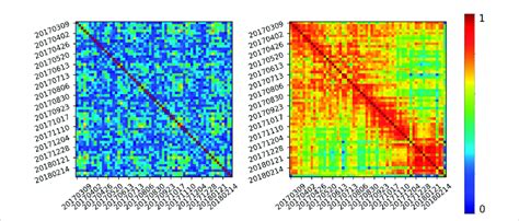Examples Of Insar Coherence Matrices Over 1 Year Left Broad Leaved