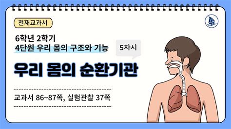 초등과학 천재교과서 6학년 2학기 4단원 5차시 우리 몸의 순환 기관 With 클로바더빙 Youtube