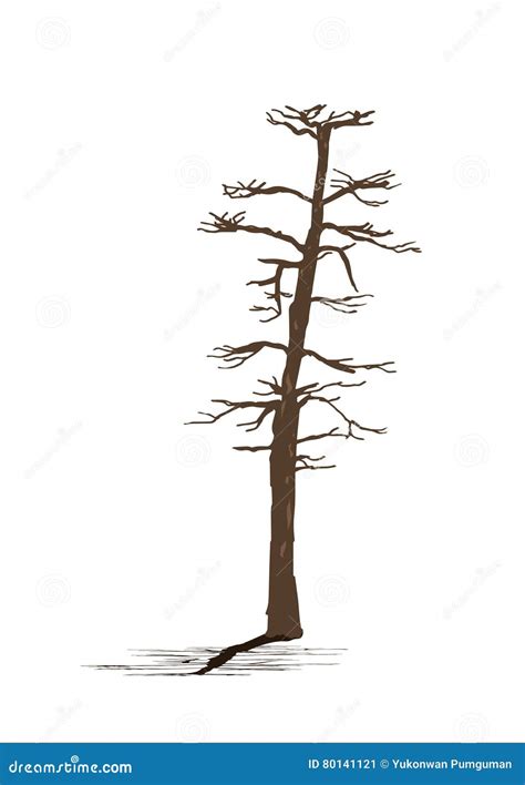 Isolated Dead Pine Tree Natural Sign Vector Illustration Stock Vector