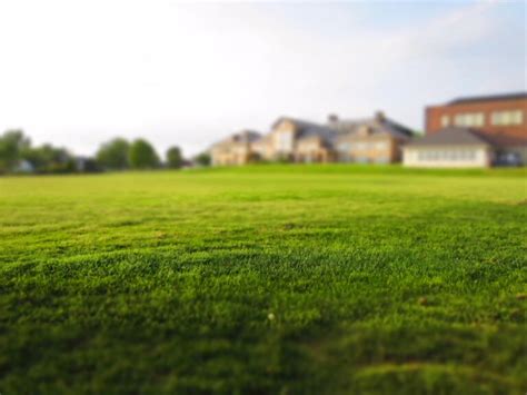 Whats The Best Grass Seed For Utah Lawns