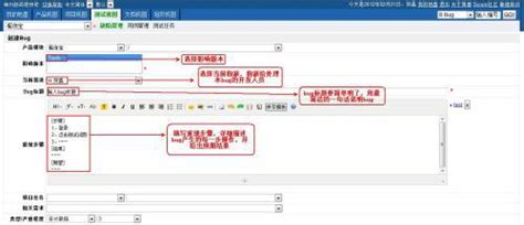BUG处理流程说明 sandea 博客园