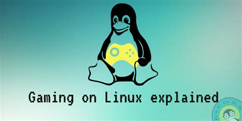 Gaming On Linux All You Need To Know