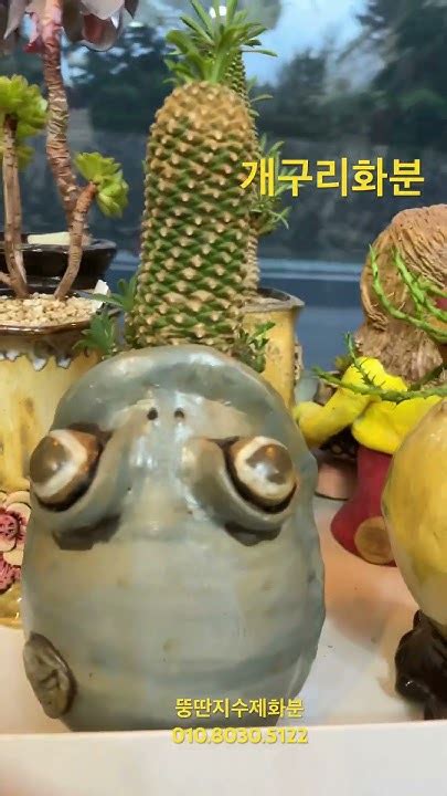 개구리화분 인테리어 화분 수제화분 다육이 다육이화분 다육화분 수제화분만들기 다육아트 다육생활 다육집사 화분