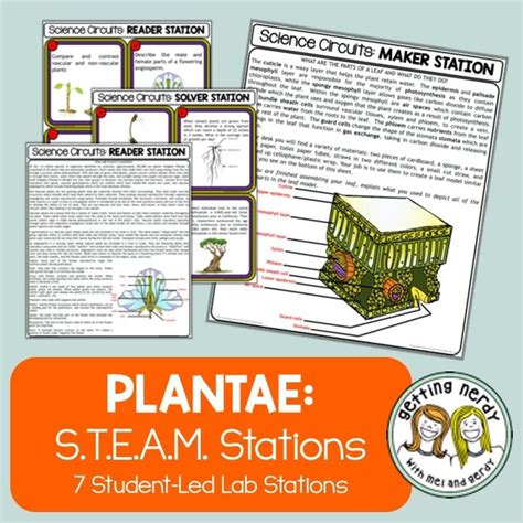Plant Classification Worksheet