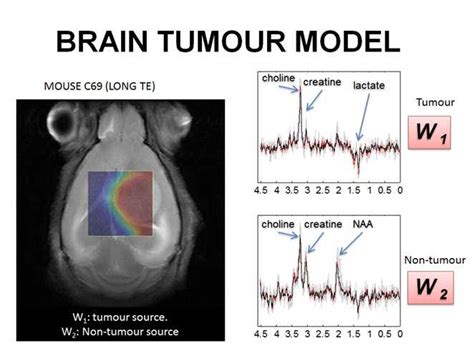 u25 nmr biomedical applications i nanbiosis