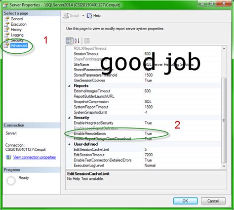 SQL Server Reporting Services Vincy Babe