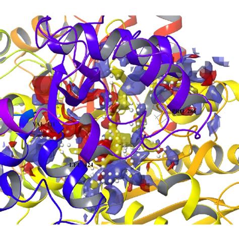 Protein Tertiary Structure Focusing On The Active Site Of The Target Download Scientific