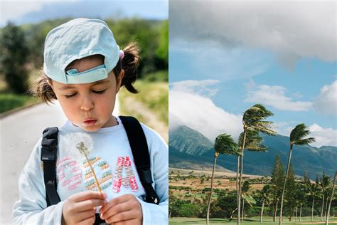 Cut Definition Transition At Shaun Dorsey Blog