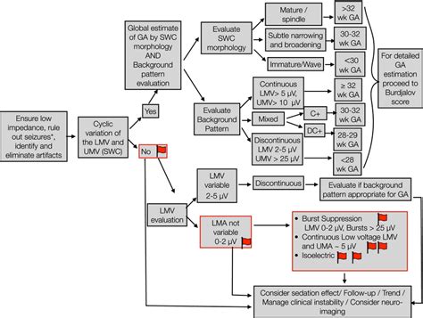 Suggested Stepwise Approach To Interpretation Of Preterm Aeeg This Download Scientific Diagram