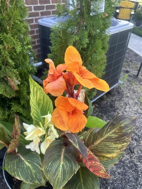 Jennifer Ketchmark Added A New Photo Jennifer Ketchmark